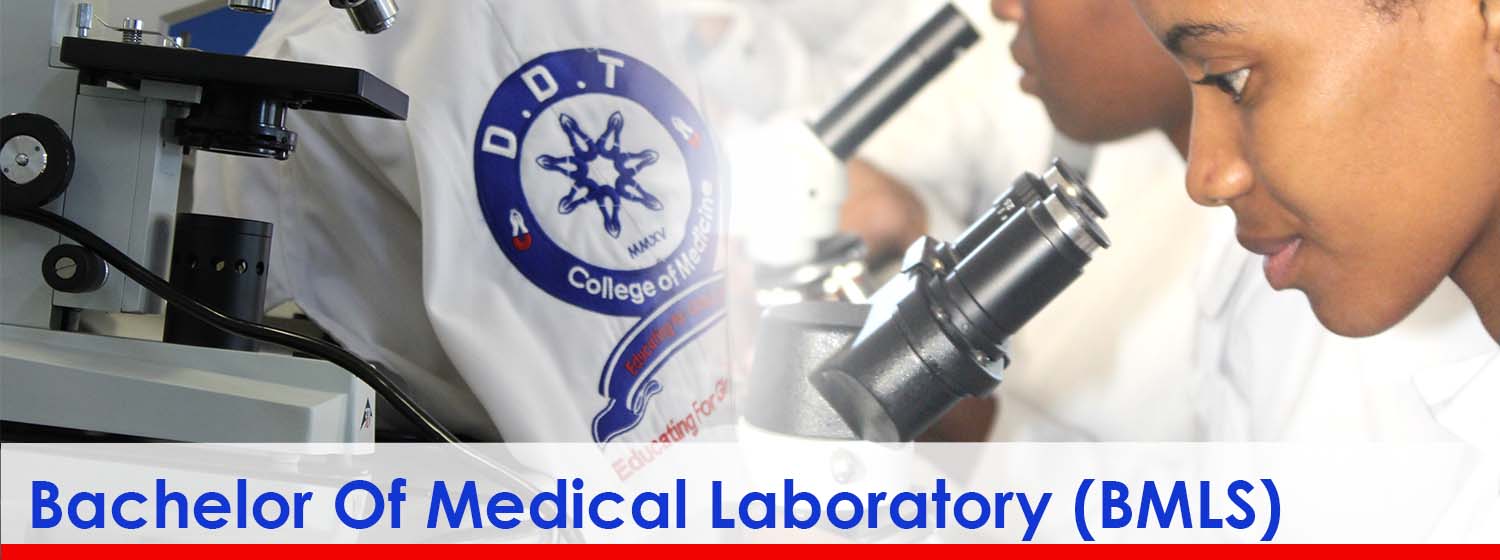DDT College : BMLS